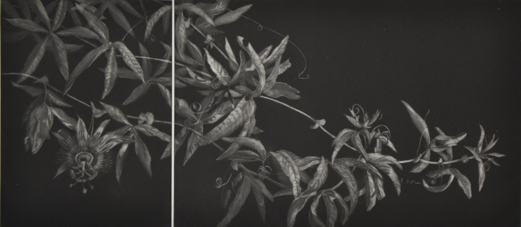 Judith Rothchild - Abbaye Saint-André - Villeneuve-lez-Avignon